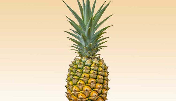 Ananasın Faydaları Nelerdir ve Ananas hangi hastalıklara iyi gelir - Puwiki