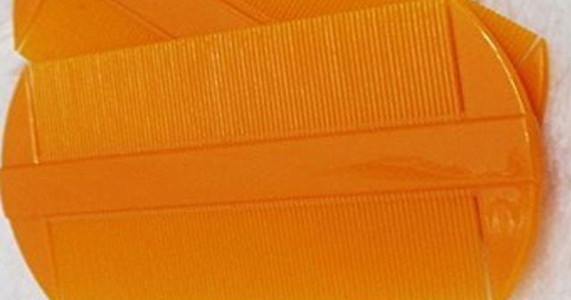 Bitin Sirkesi Nasıl Temizlenir Öldürülür Kesin Çözümler - Selmasultan