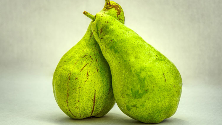 Armut Hangi Mevsim Yetişir Hangi Ayda Olur - Selmasultan