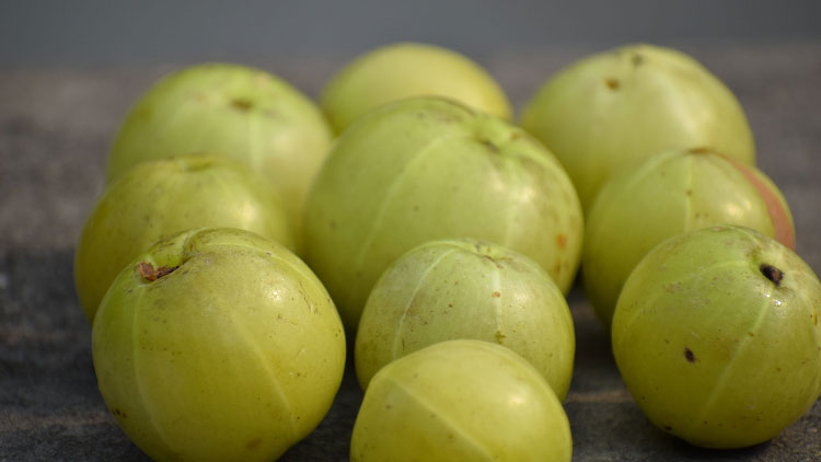 Amla Yağı Kullananların Olumlu ve Olumsuz Yorumları Nasıldır?